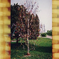 Kraus : A golden brain - Levykauppa Äx